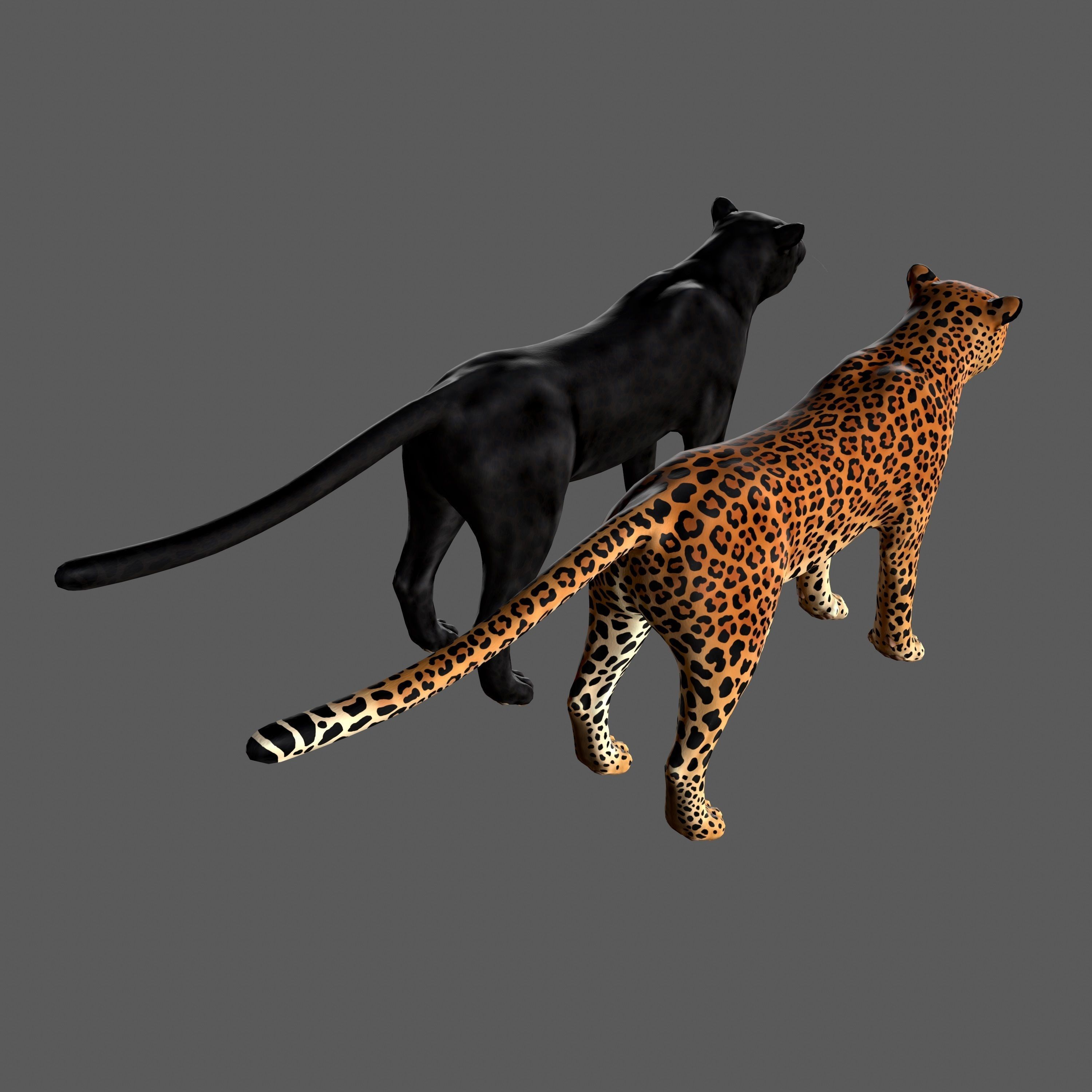 3D model Leopard and Black panther - lowpoly 3d model VR / AR / low ...