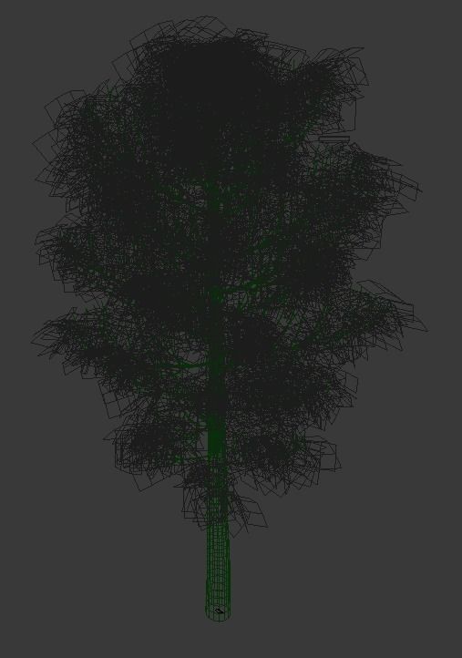 Tall tree 3D model | CGTrader