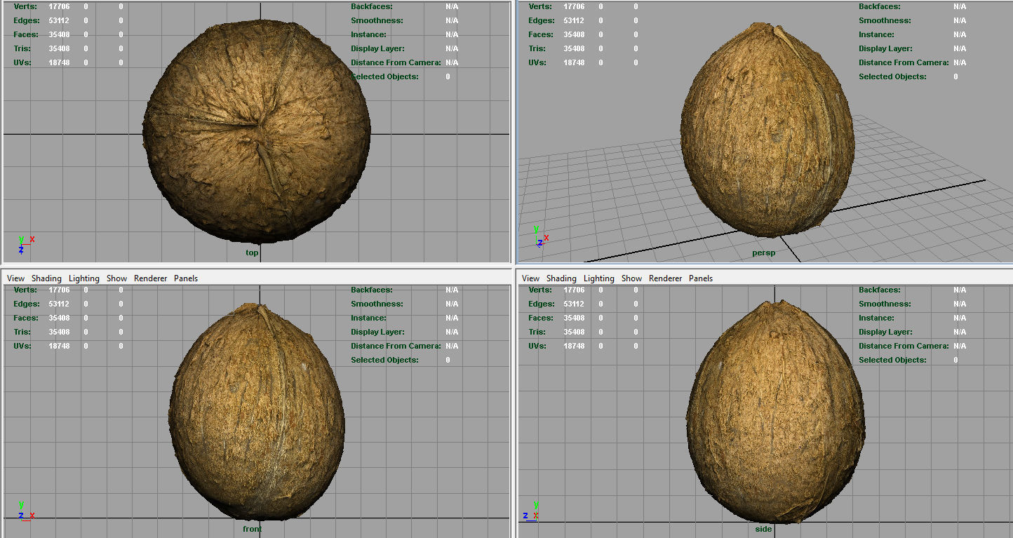 3D model Coconut VR / AR / low-poly | CGTrader