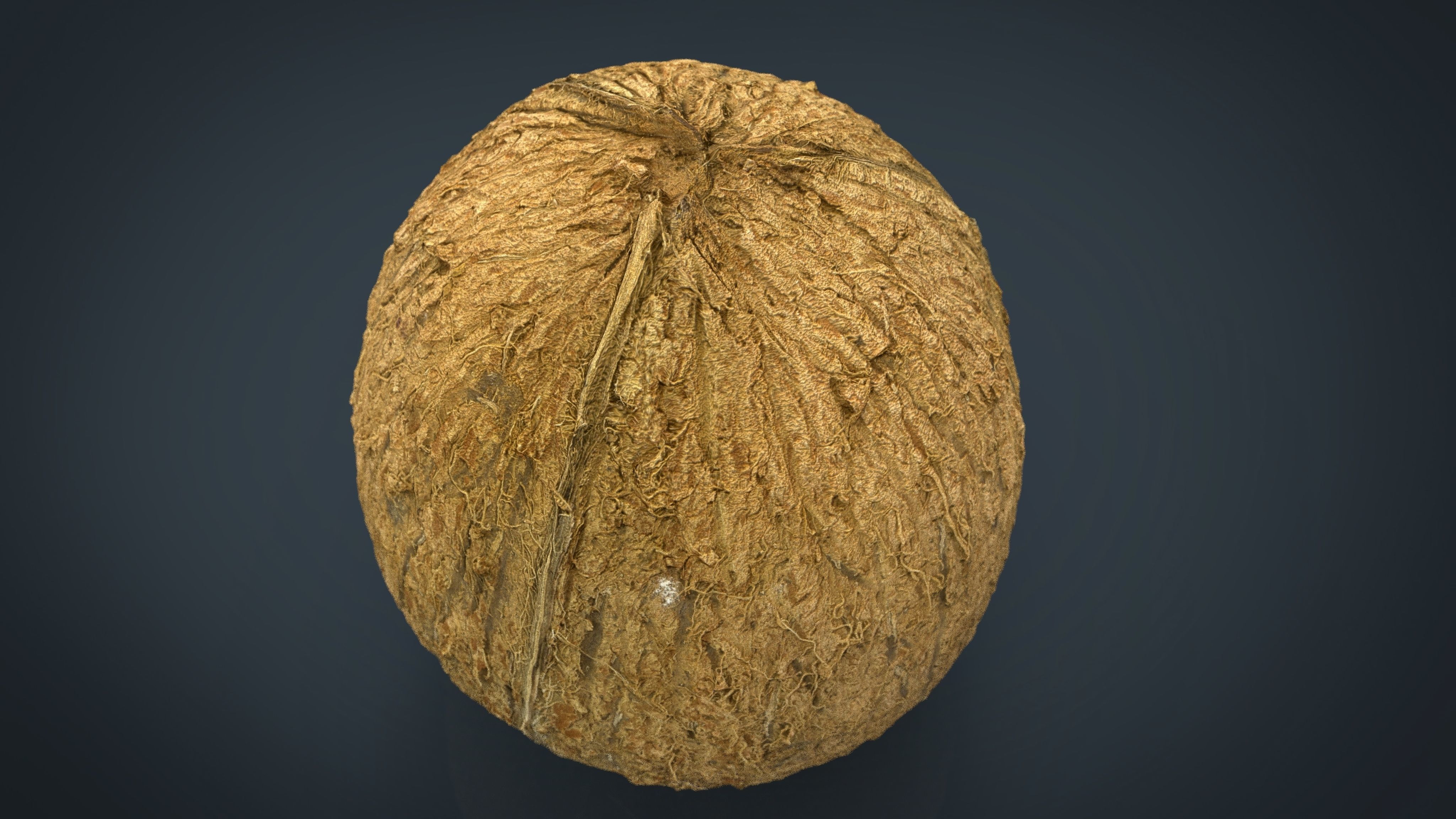 3D model Coconut VR / AR / low-poly | CGTrader