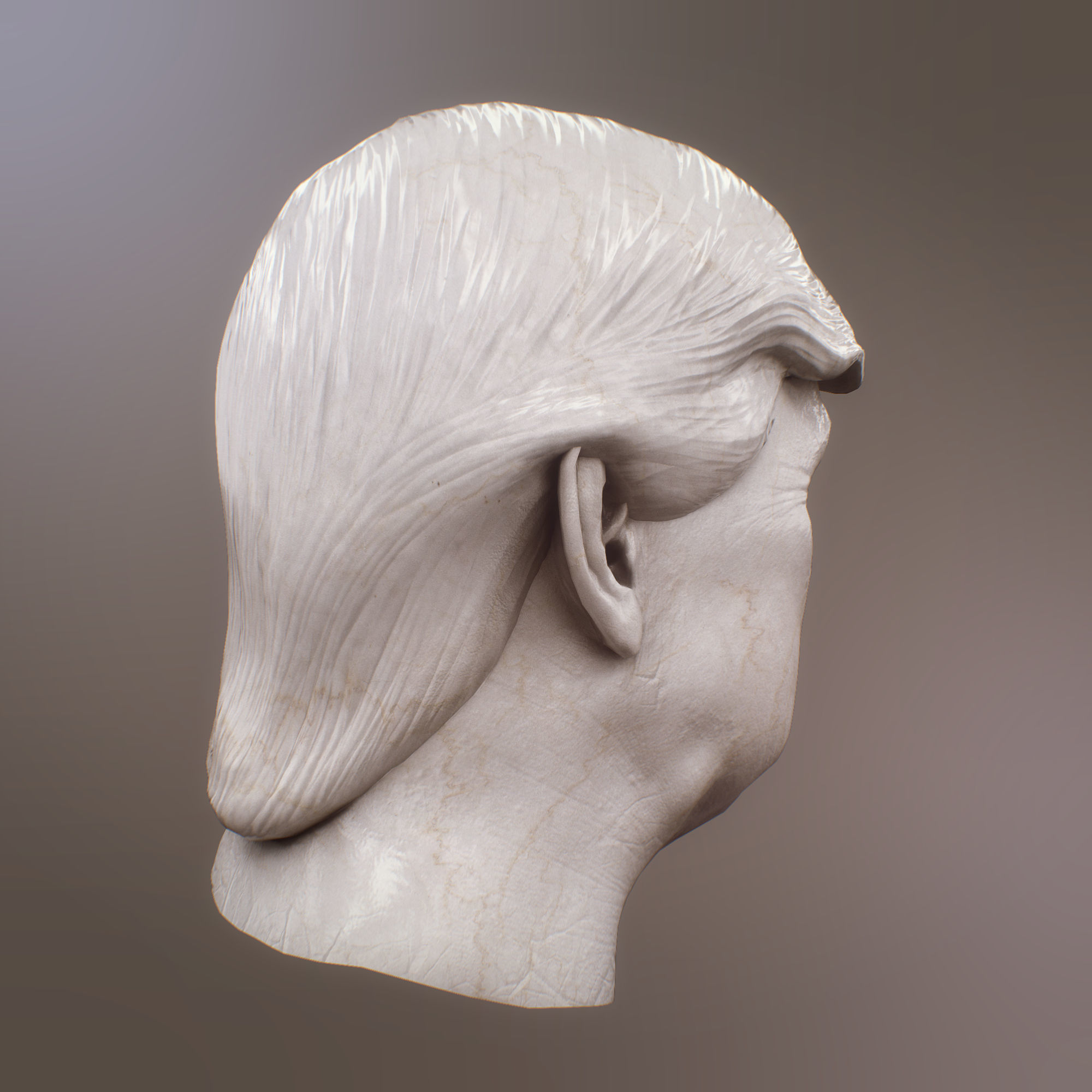 3D model Donald Trump bust VR / AR / low-poly | CGTrader