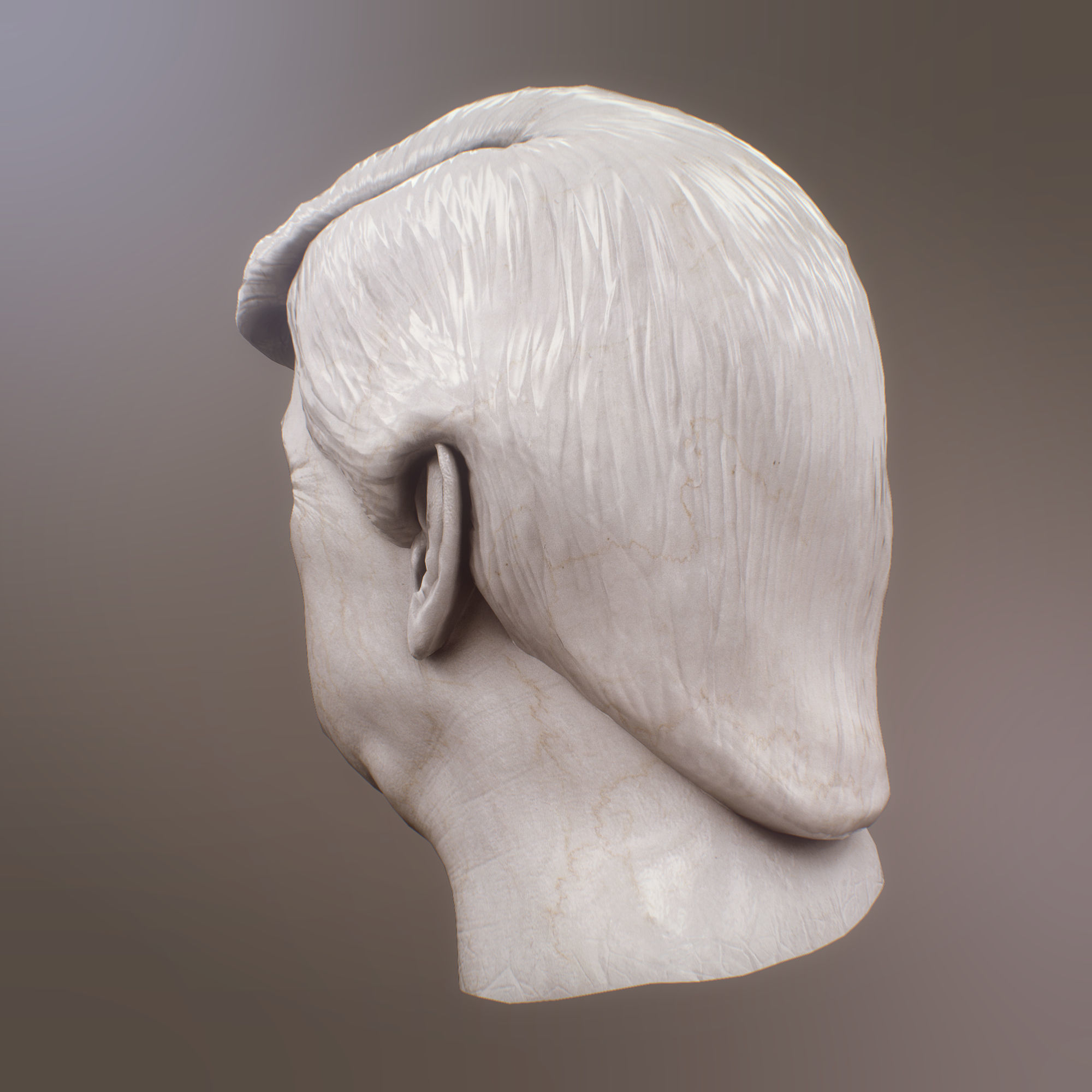 3D model Donald Trump bust VR / AR / low-poly | CGTrader