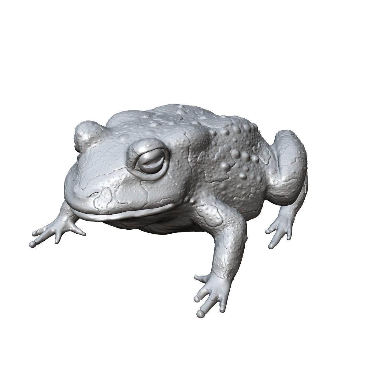 toad sculpture 3D model 3D printable | CGTrader
