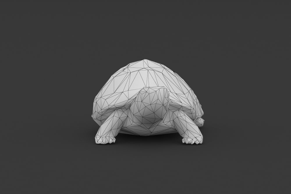 3D model Low Poly Turtle Tortoise VR / AR / low-poly | CGTrader