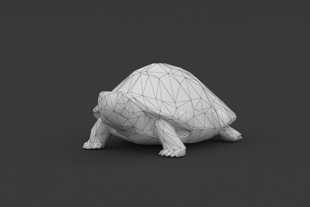 3D model Low Poly Turtle Tortoise VR / AR / low-poly | CGTrader