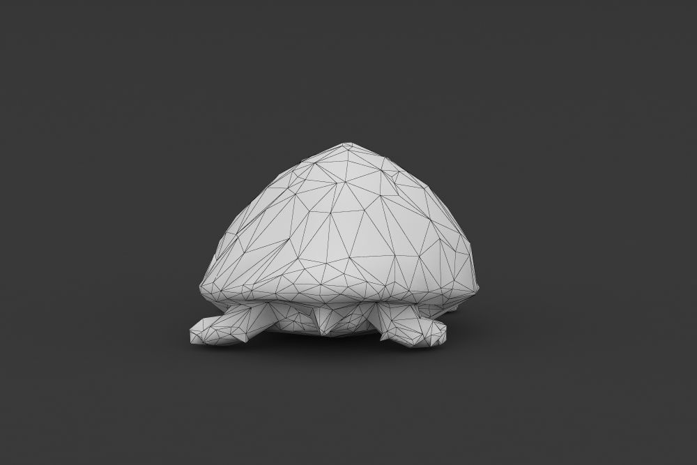 3D model Low Poly Turtle Tortoise VR / AR / low-poly | CGTrader