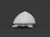 3D model Low Poly Turtle Tortoise VR / AR / low-poly | CGTrader