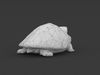 3D model Low Poly Turtle Tortoise VR / AR / low-poly | CGTrader