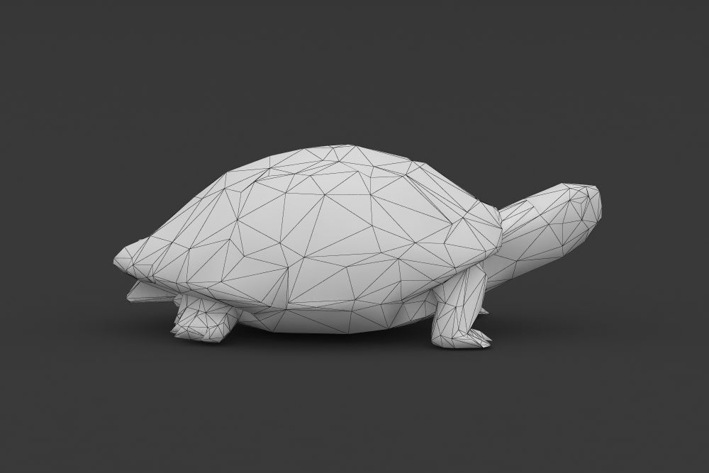 3D model Low Poly Turtle Tortoise VR / AR / low-poly | CGTrader
