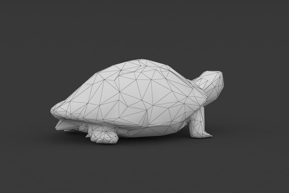 3D model Low Poly Turtle Tortoise VR / AR / low-poly | CGTrader