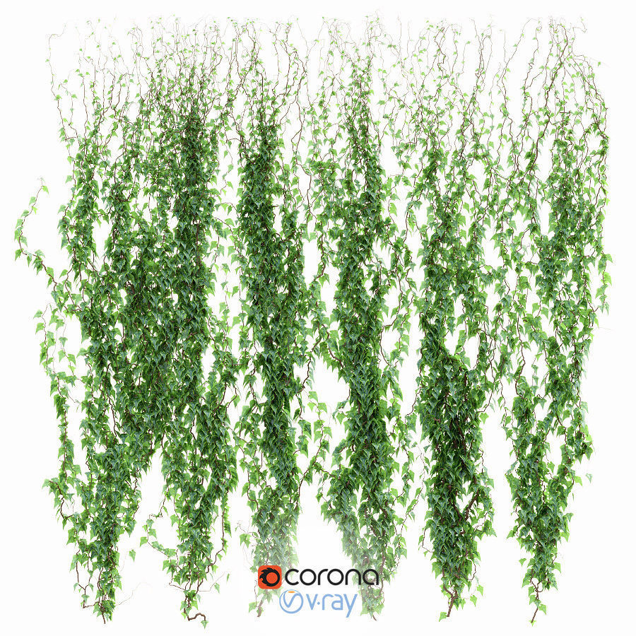 6 models of leaf ivy wall 3D model | CGTrader