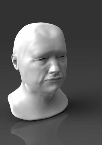 Detailed head 4 3D model 3D printable | CGTrader