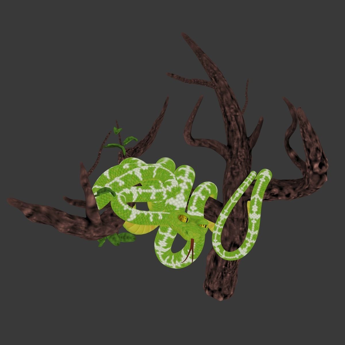 Cartoon snake 3D model | CGTrader