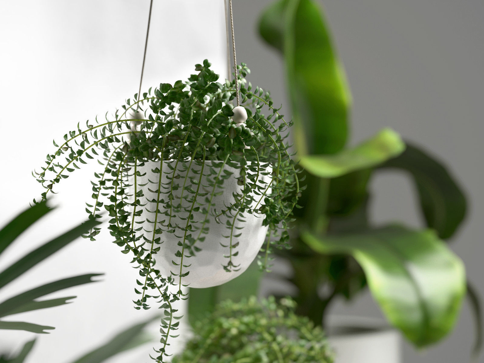 Stool and Pots with Plants 3D model | CGTrader