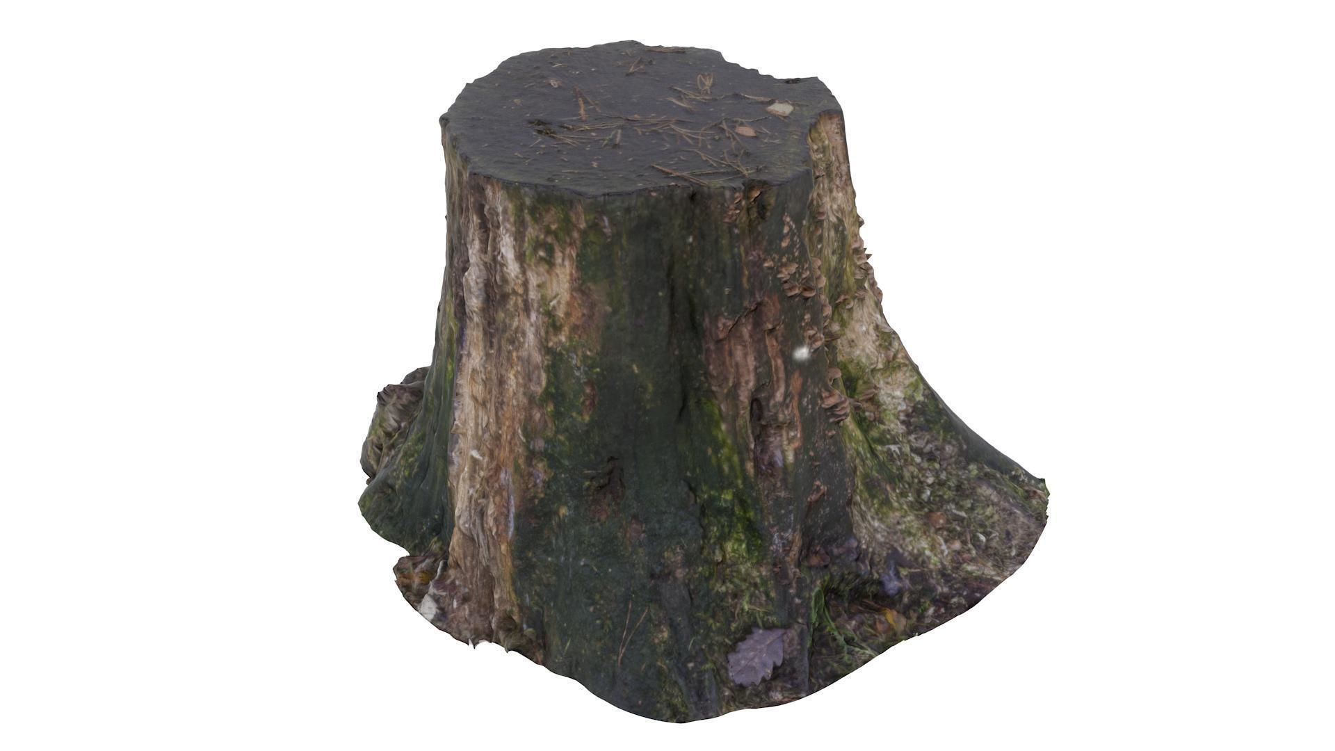 3D model Tree Stump 02 - High and Low Poly versions VR / AR / low-poly ...