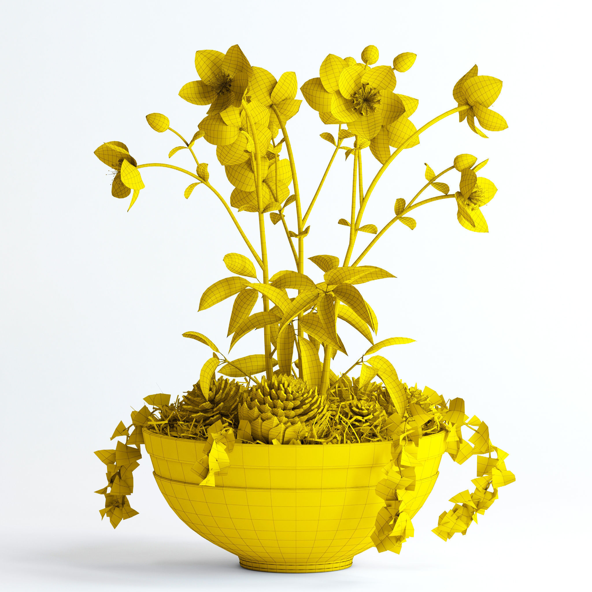 Hellebores and succulents in bowl 3D model | CGTrader