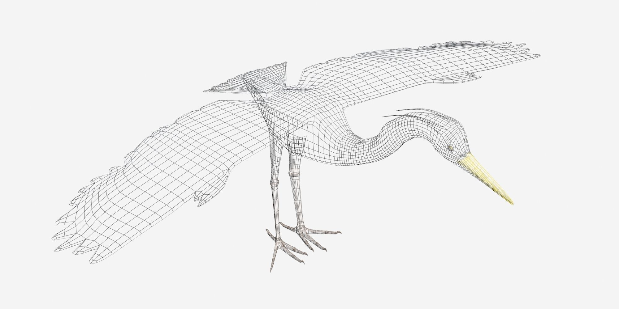 3D model Heron model VR / AR / low-poly | CGTrader