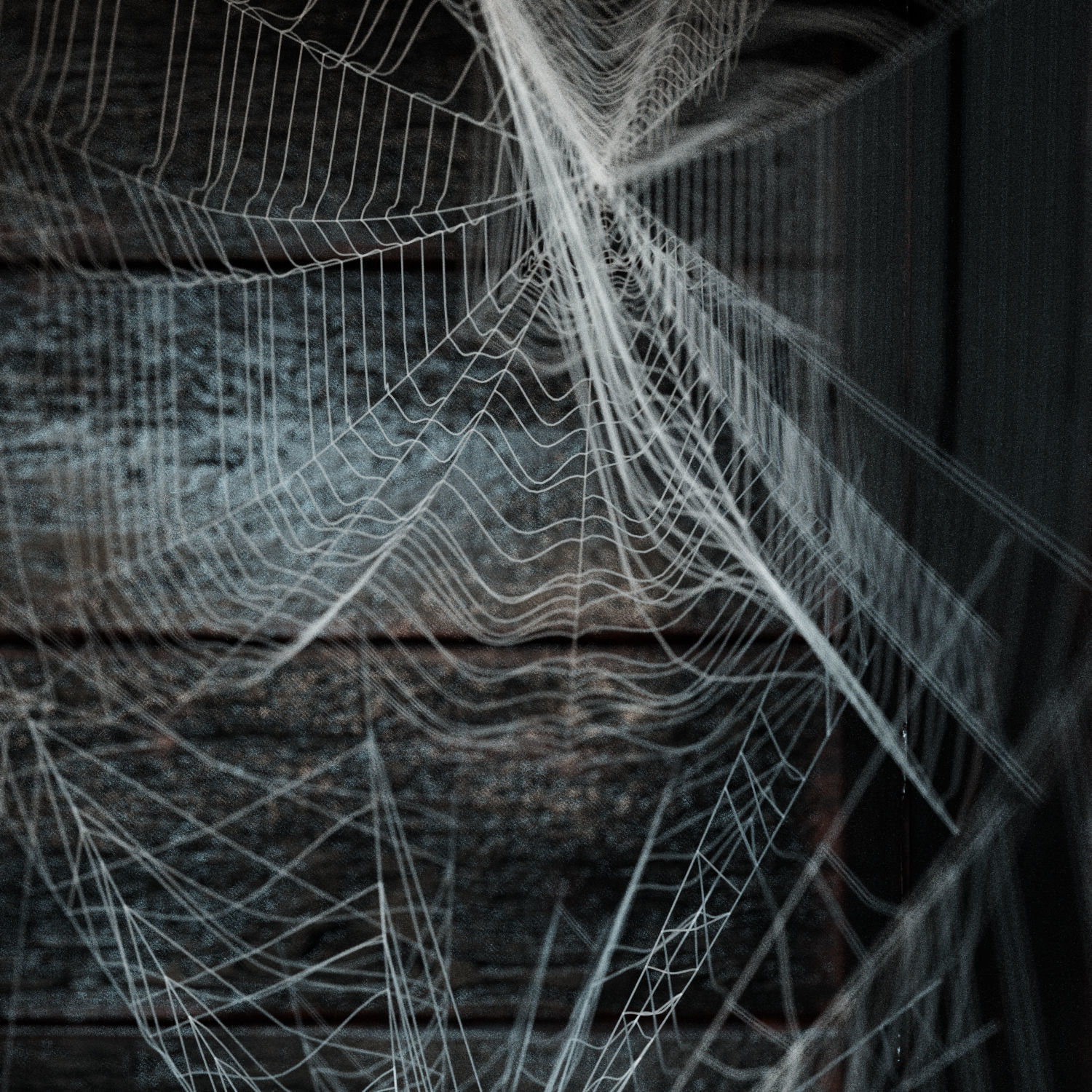 Spiderweb for shelves 3D model | CGTrader