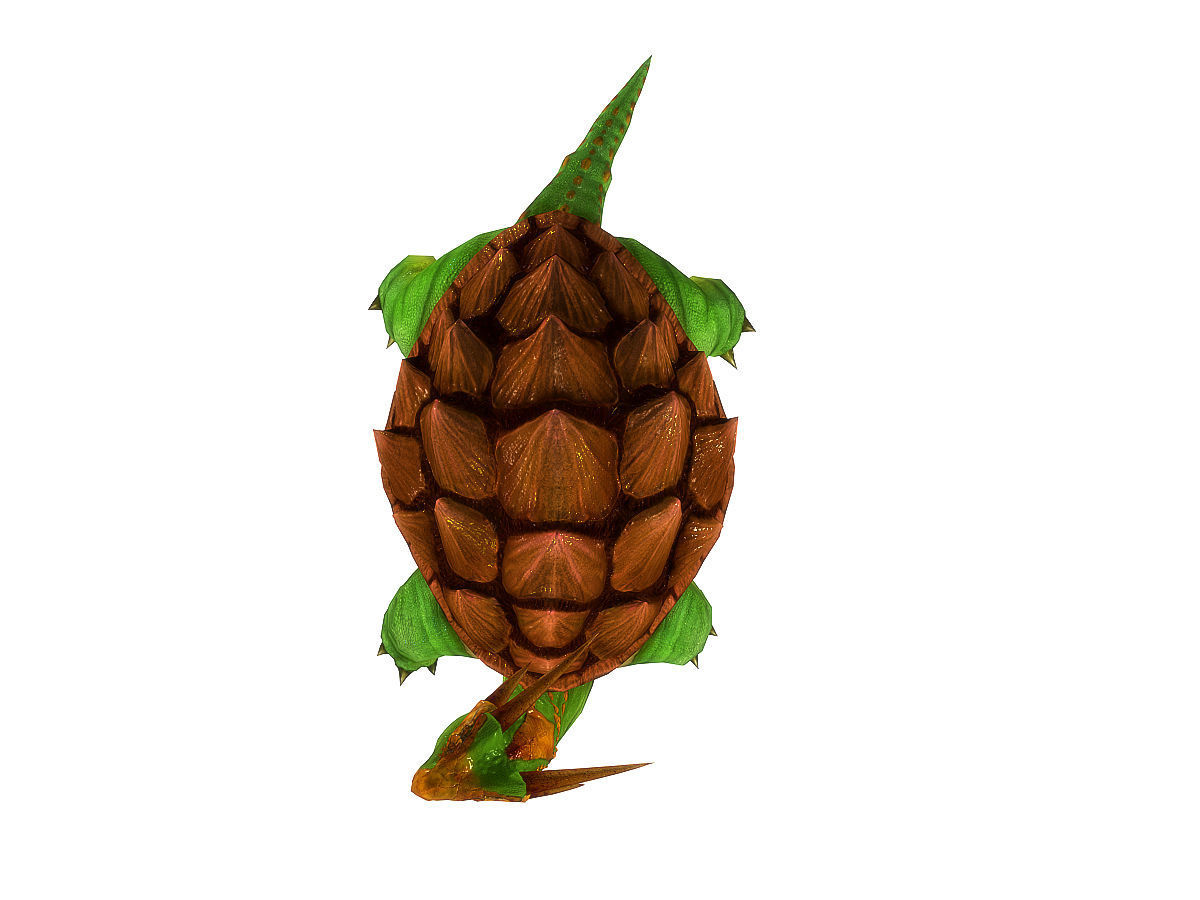 3D model 3Dfoin - Dragon Turtle VR / AR / low-poly rigged animated ...
