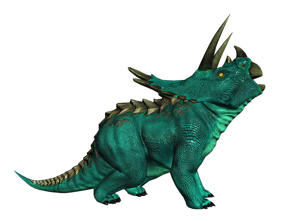 3D model 3Dfoin - Triceratops VR / AR / low-poly rigged animated | CGTrader