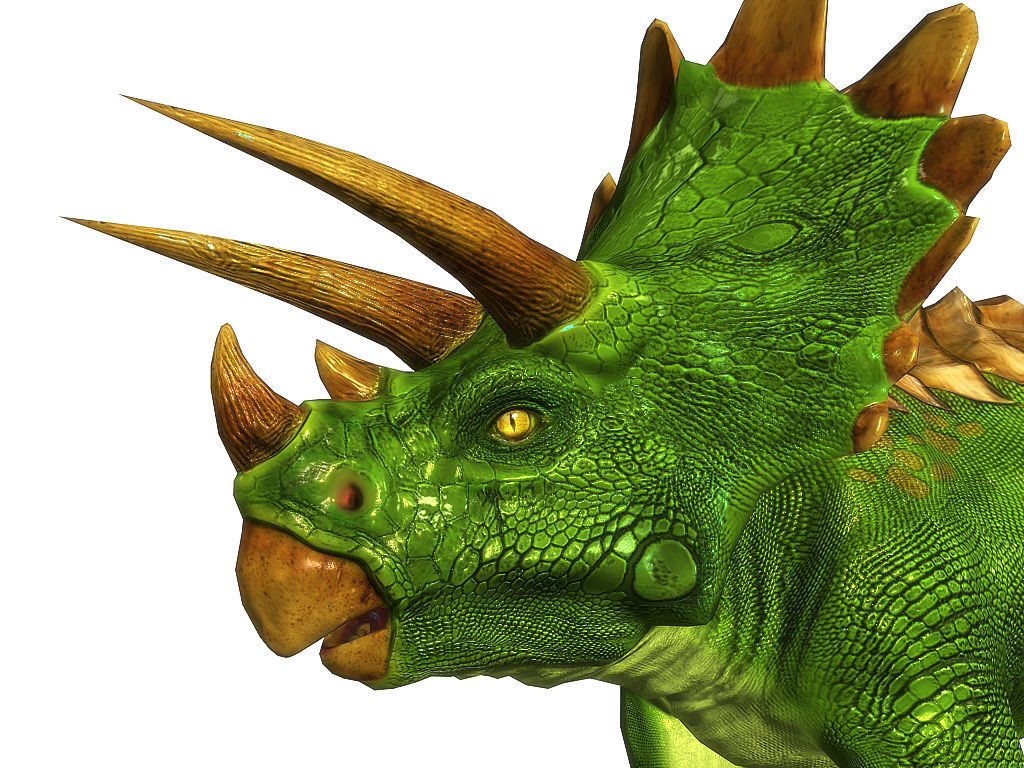 3D model 3Dfoin - Triceratops VR / AR / low-poly rigged animated | CGTrader