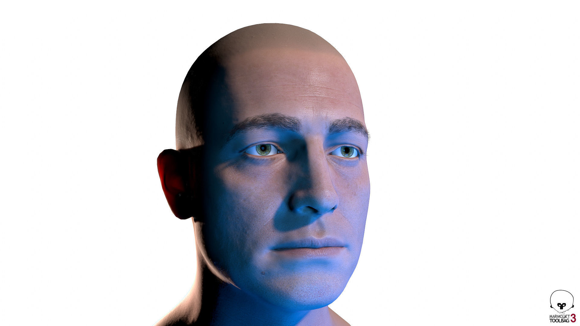 3D model Average Caucasian Male Head VR / AR / low-poly | CGTrader
