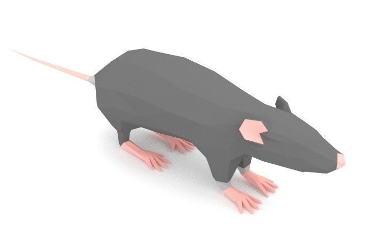 3D model Rat LOW POLY VR / AR / low-poly | CGTrader