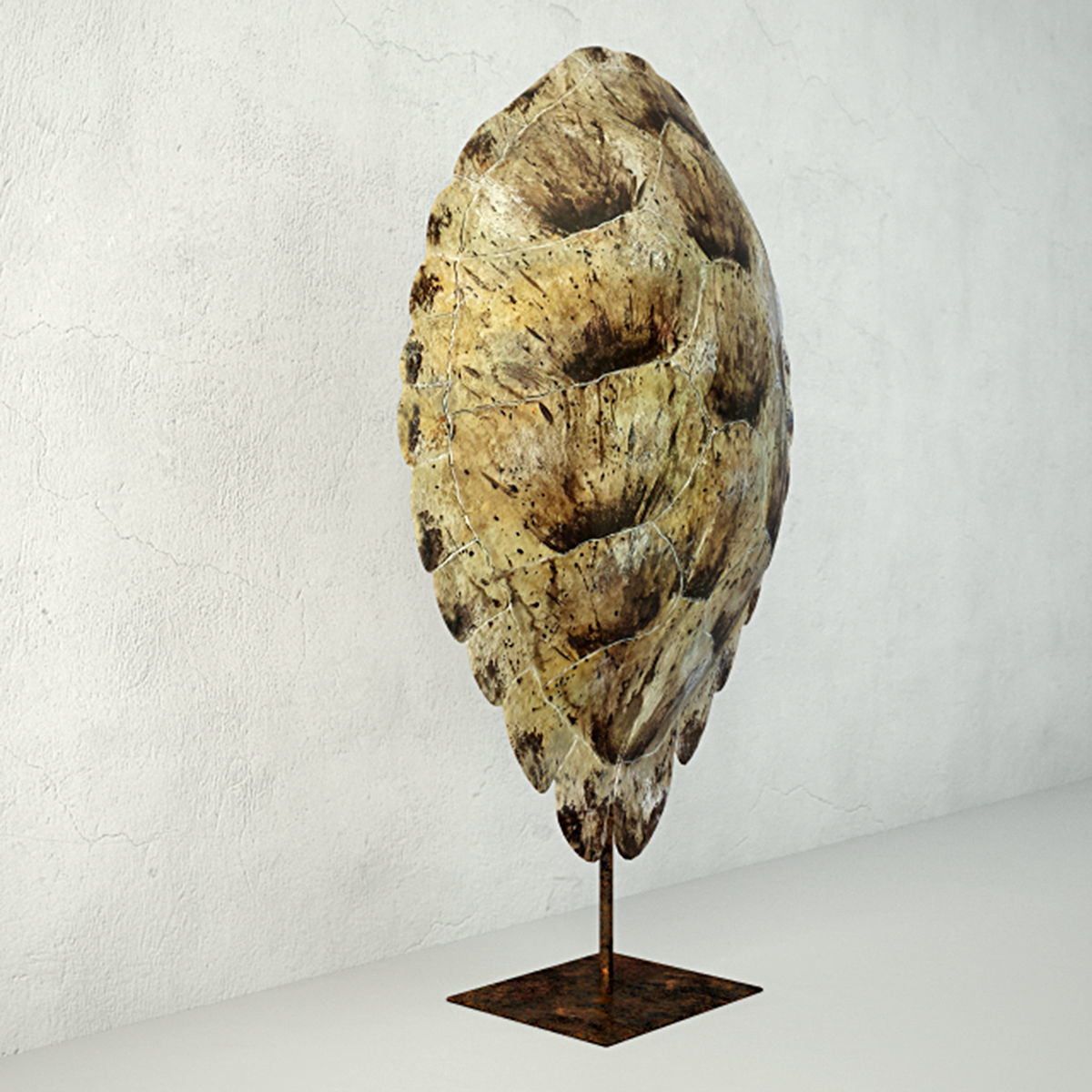 Faux Turtle Shell Sculpture 2 3D model | CGTrader