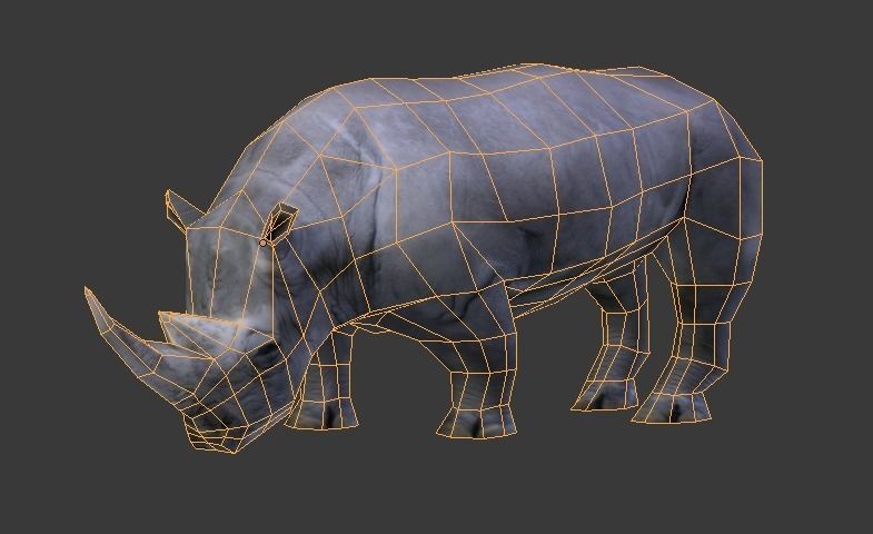3D model African Rhino VR / AR / low-poly rigged animated | CGTrader