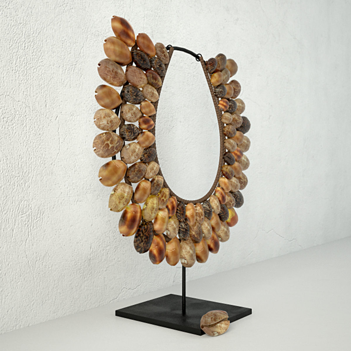 Native shell decor 3D model | CGTrader