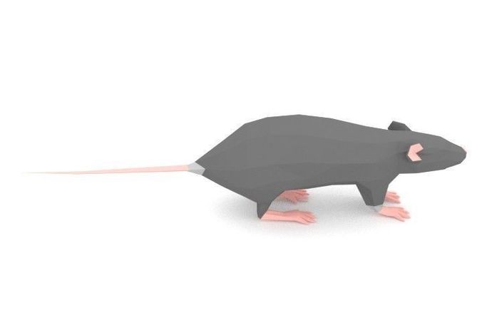 3D model Mouse Cartoon Low Poly VR / AR / low-poly | CGTrader