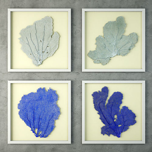 Sea Fans 3D model | CGTrader