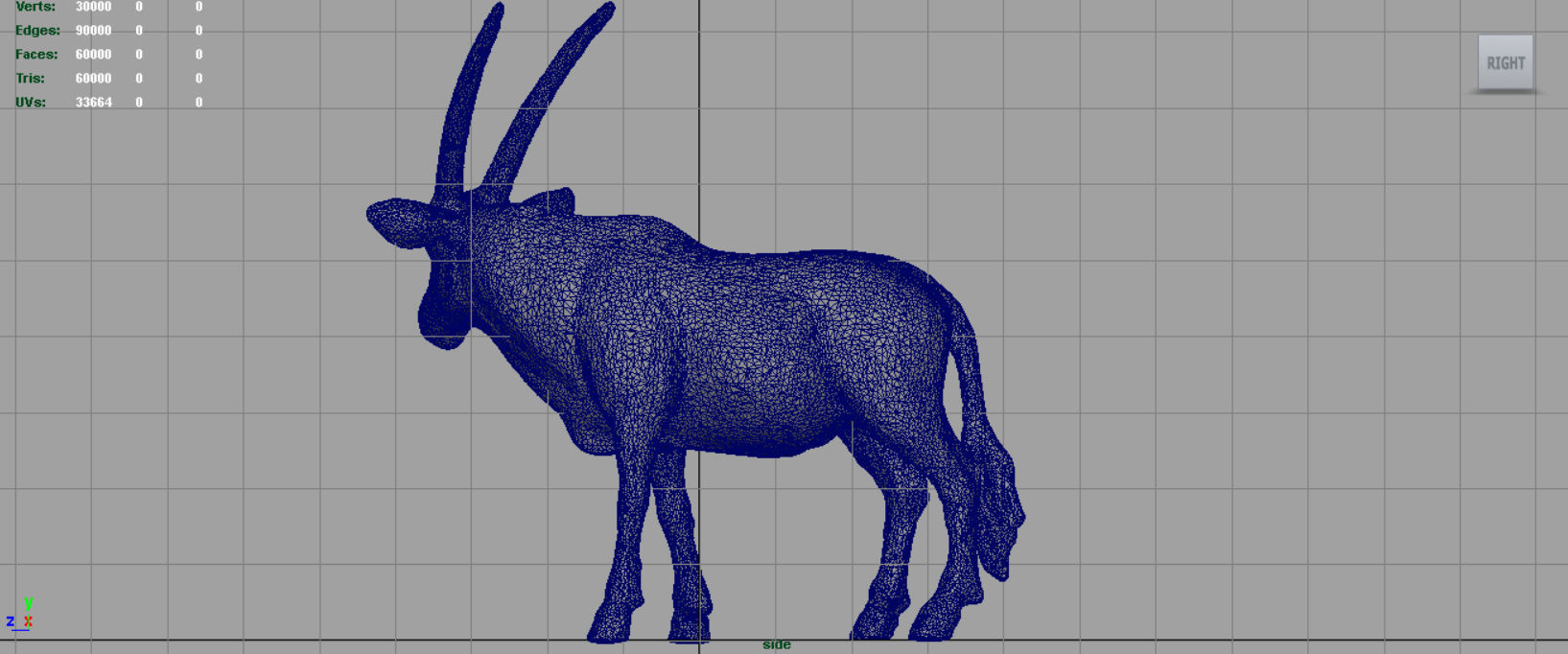 3D model Realistic Oryx VR / AR / low-poly | CGTrader