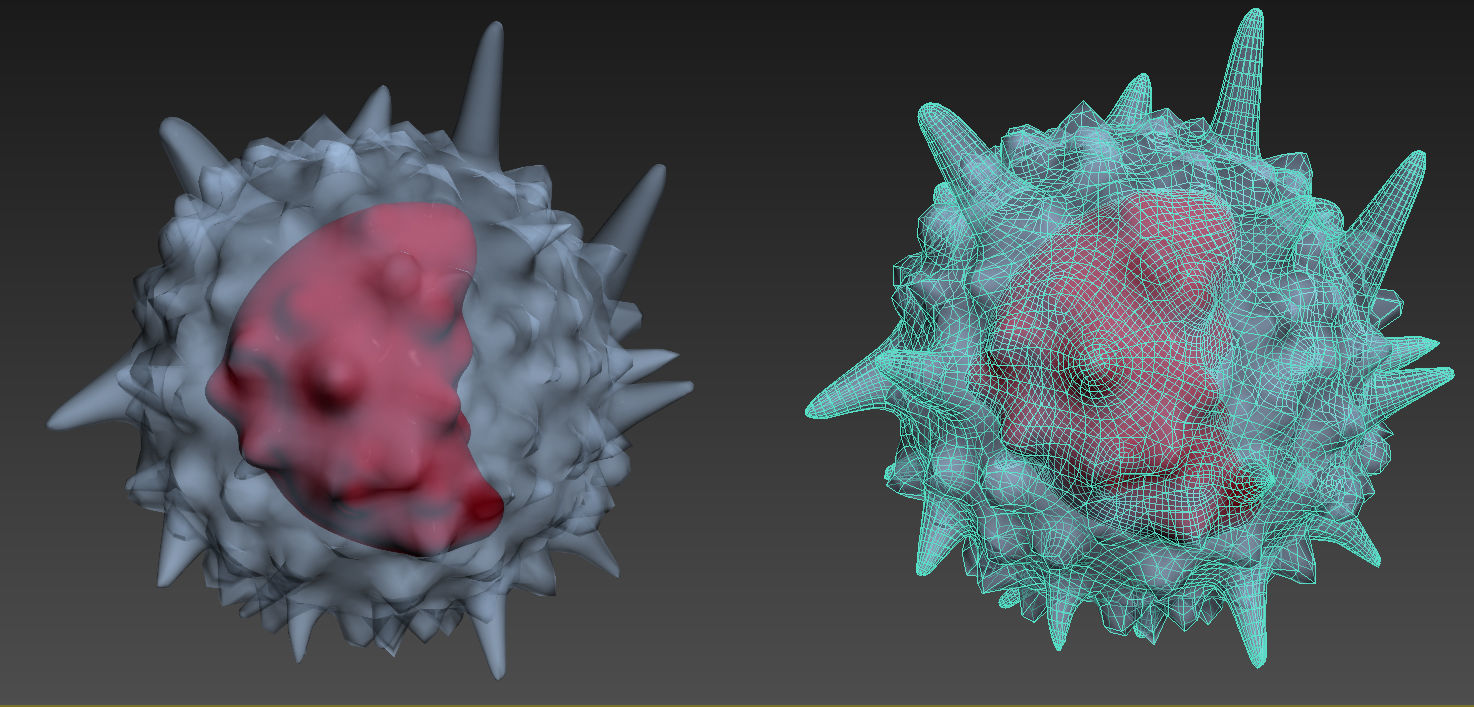 White Blood Cells 3D model | CGTrader