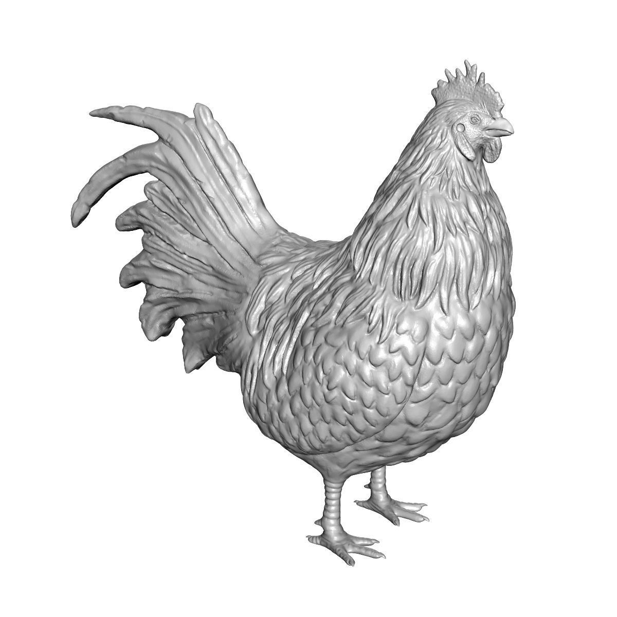chicken print model 3D model 3D printable | CGTrader