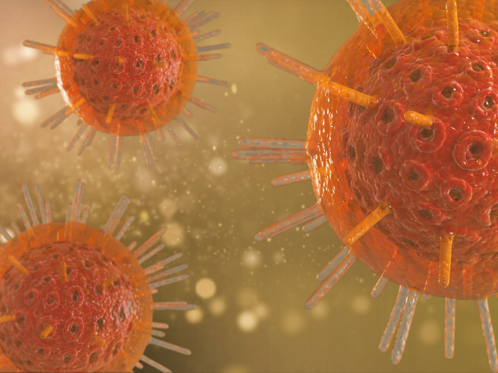 Herpes Simplex 3D model | CGTrader