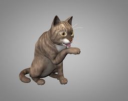 Rigged Cat 3D Models | CGTrader