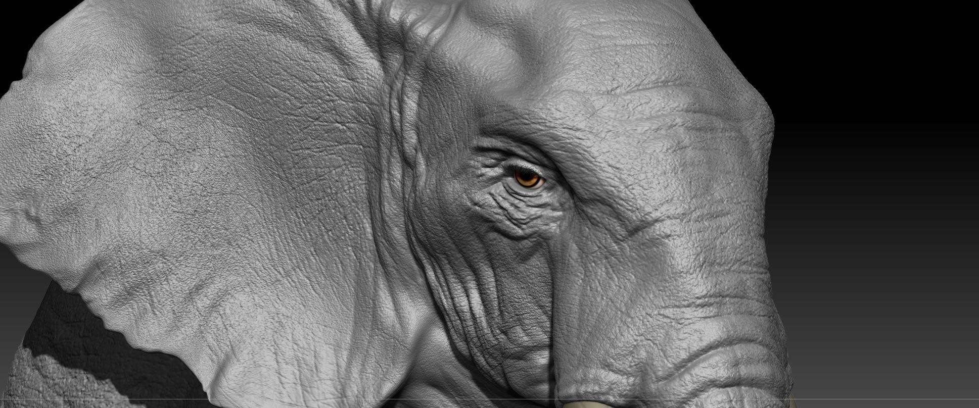 Realistic Elephant Hi-Rez with realistic skin 3D model | CGTrader