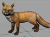 3D model Realistic Fox VR / AR / low-poly | CGTrader