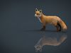 3D model Realistic Fox VR / AR / low-poly | CGTrader
