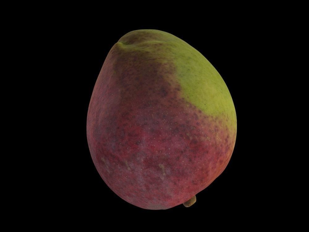 Mango - low poly 3D model | CGTrader