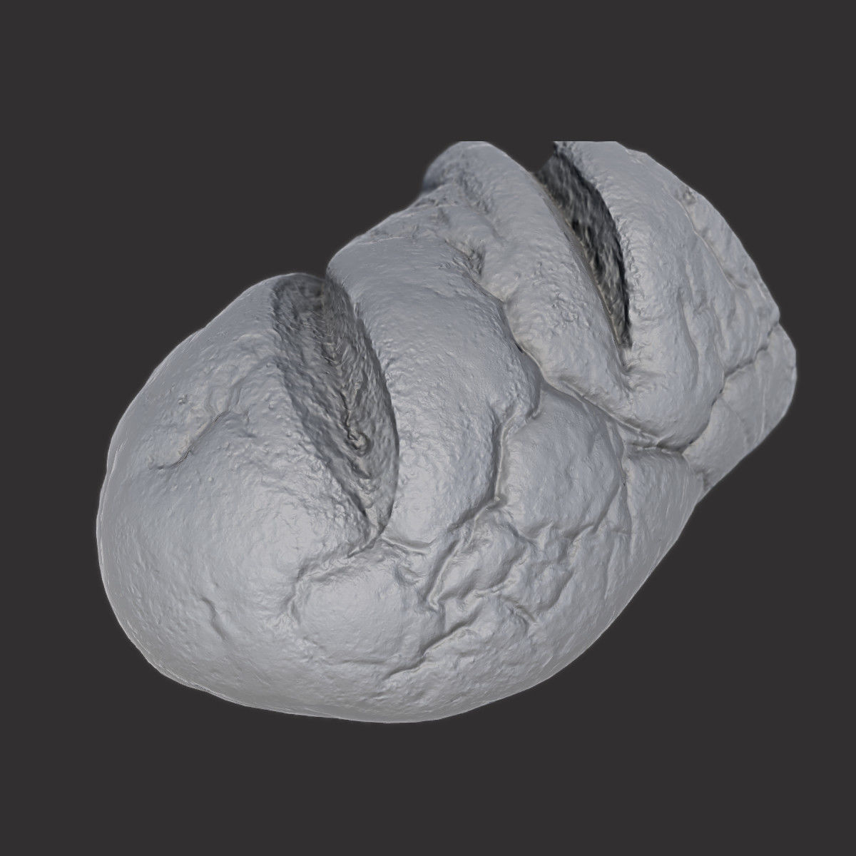 3D model Brown Loaf of Bread Cut VR / AR / low-poly | CGTrader