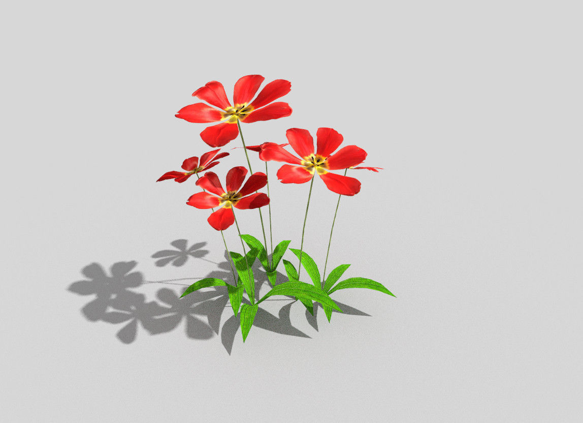 3D model low poly flower three flowers VR / AR / low-poly | CGTrader