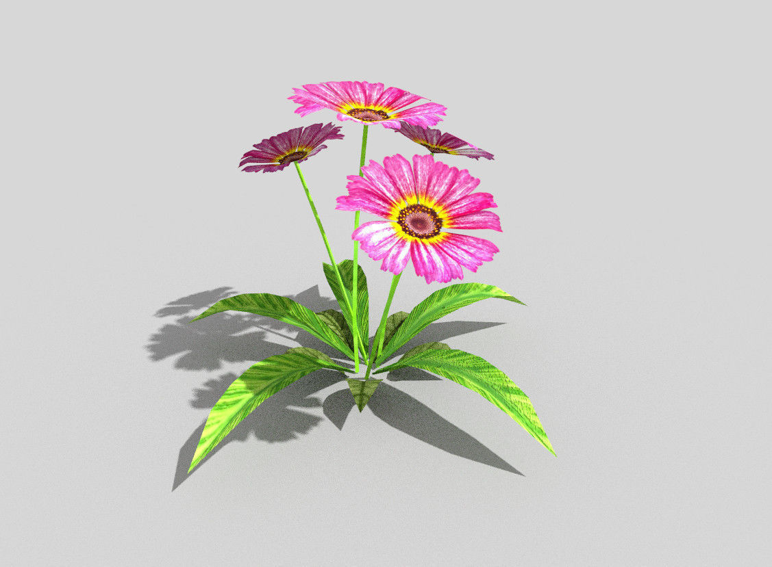3D model low poly flower VR / AR / low-poly | CGTrader