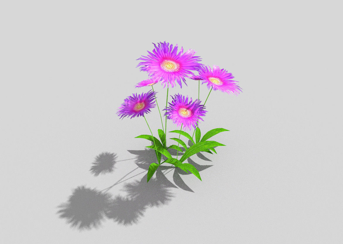 3D model low poly flower VR / AR / low-poly | CGTrader