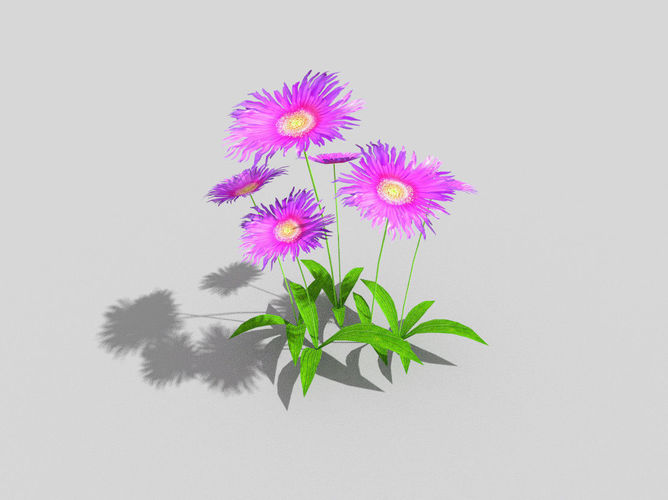 3D model low poly flower daisy no VR / AR / low-poly | CGTrader
