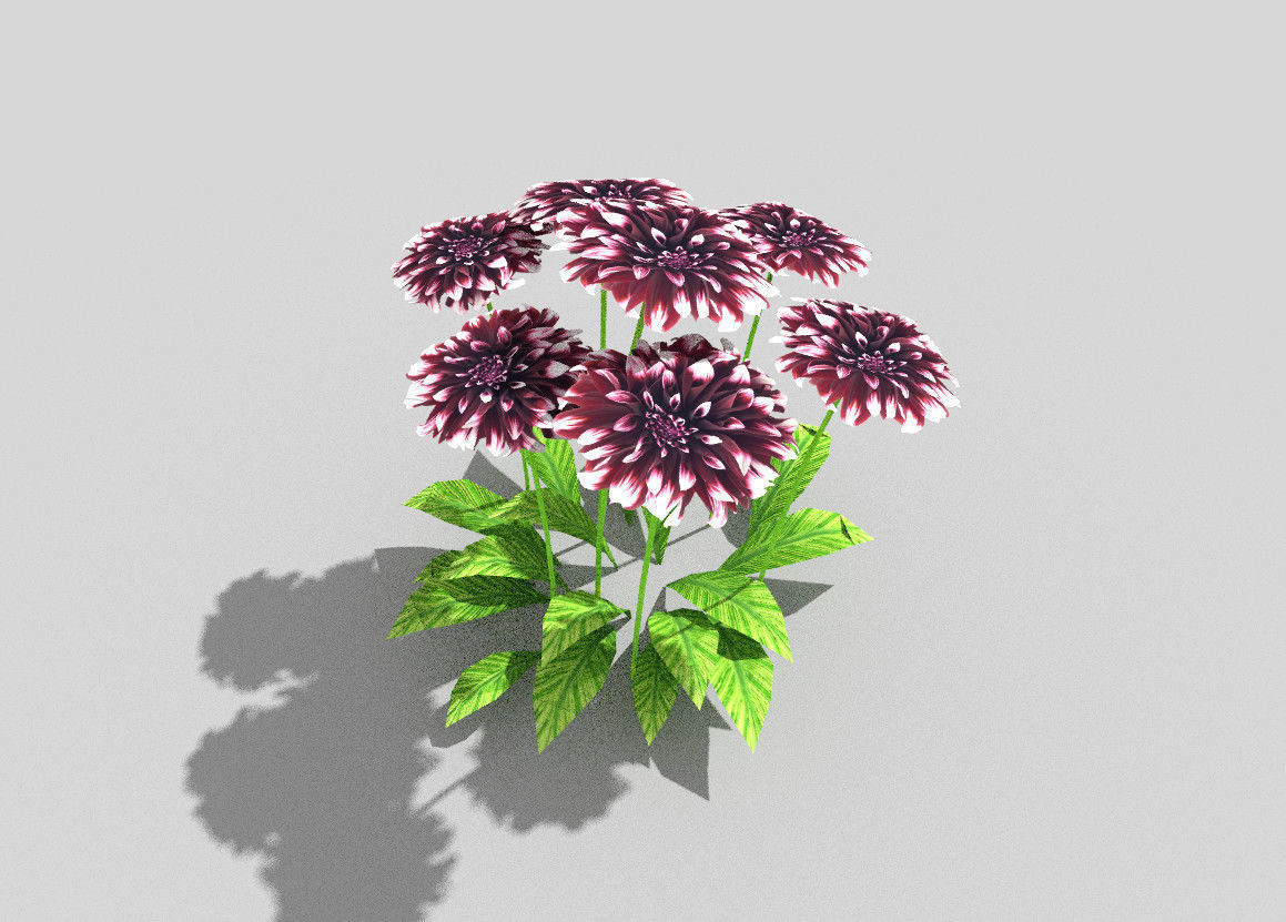 3D model low poly flower VR / AR / low-poly | CGTrader