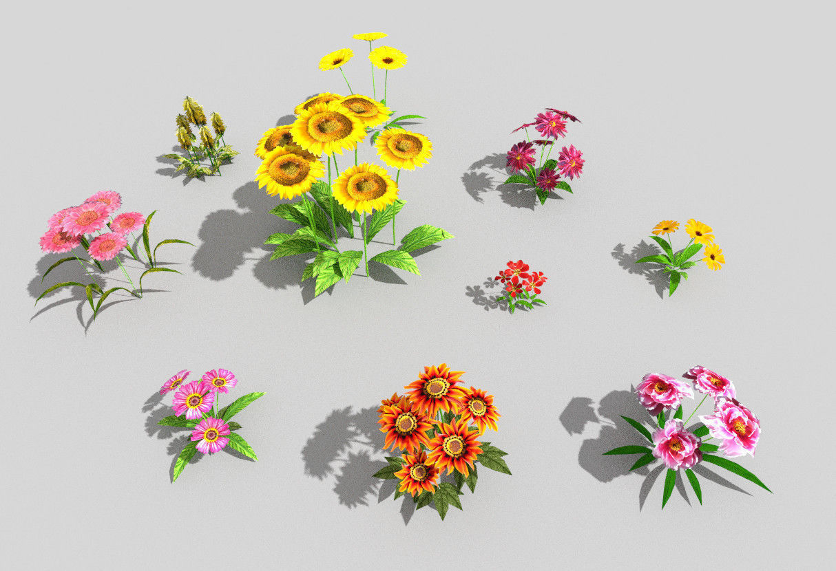 3D model 10 low poly flowers pack VR / AR / low-poly | CGTrader
