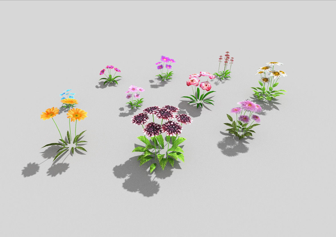 3D model 10 low poly flowers pack 2 VR / AR / low-poly | CGTrader