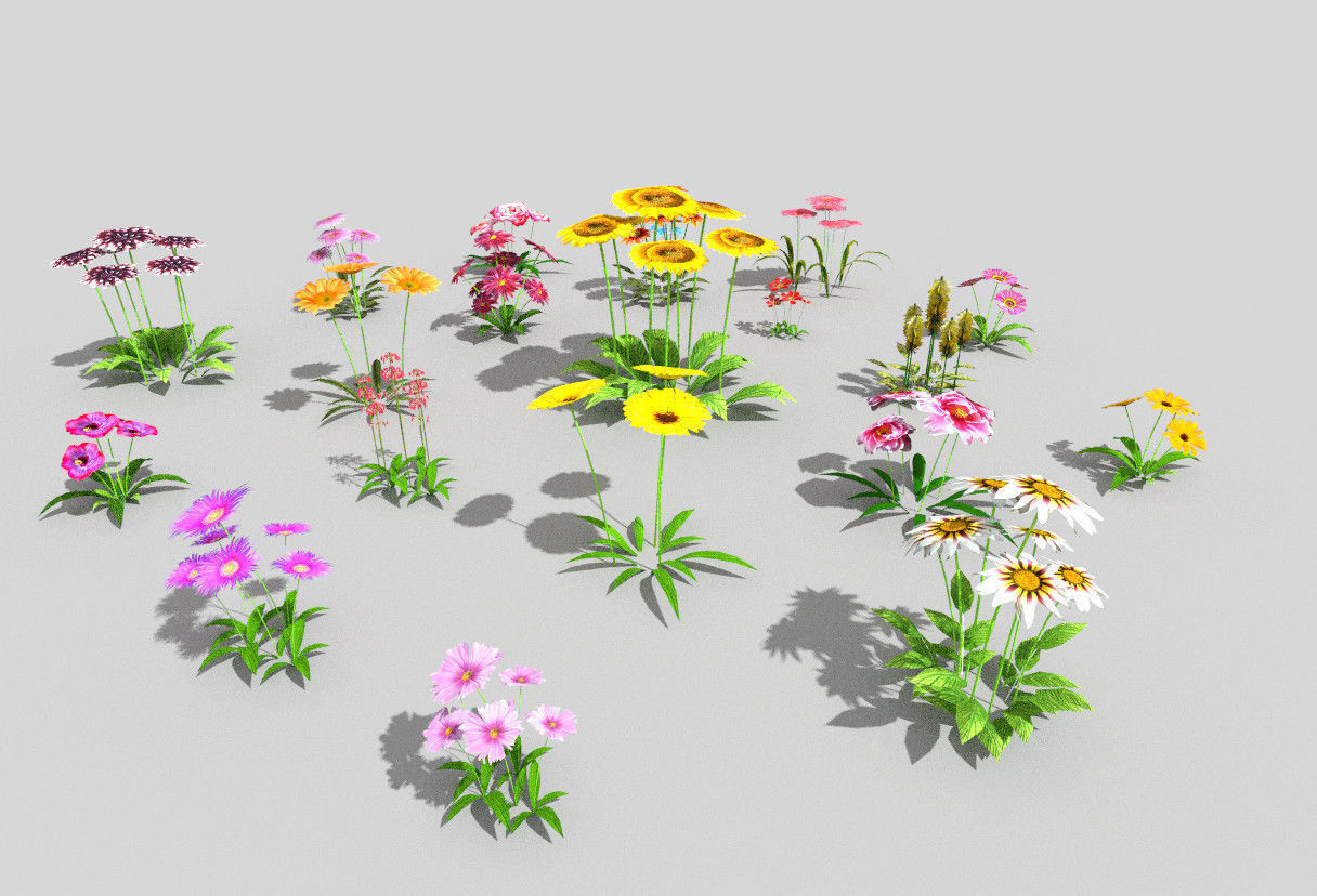 3D model 20 low poly flowers pack VR / AR / low-poly | CGTrader